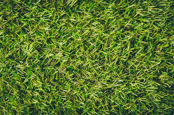 Exploring the Benefits of Different Types of Artificial Turf for Your ...